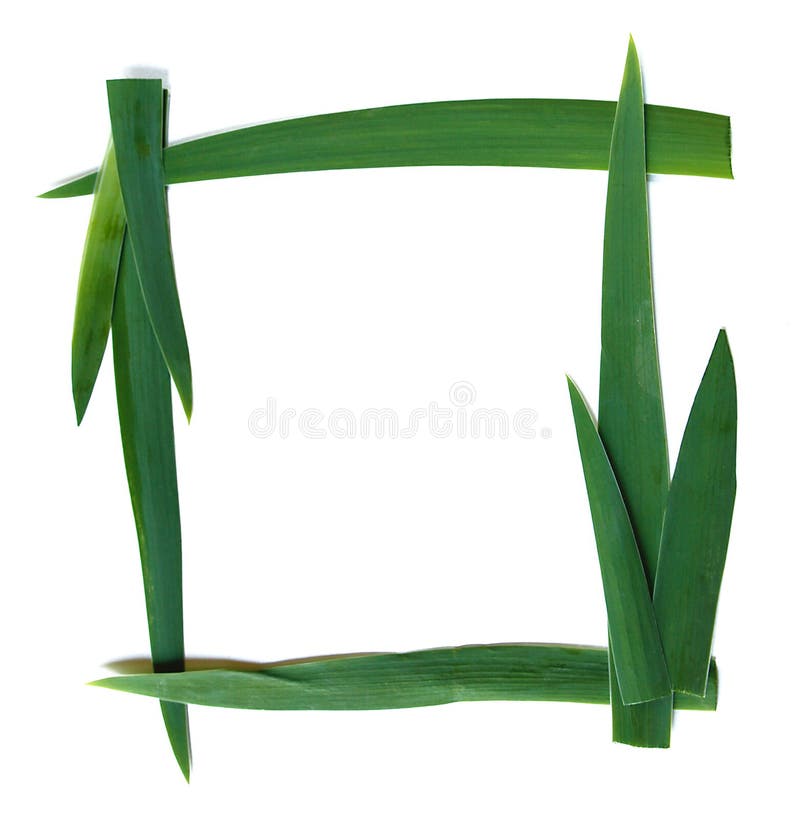 Beautiful Frame with Plants Stock Image - Image of garden, leaves: 77535447