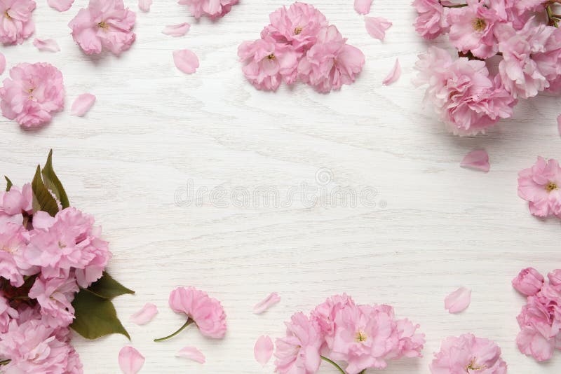 Beautiful Frame of Sakura Tree Blossoms on White Wooden Table, Flat Lay ...