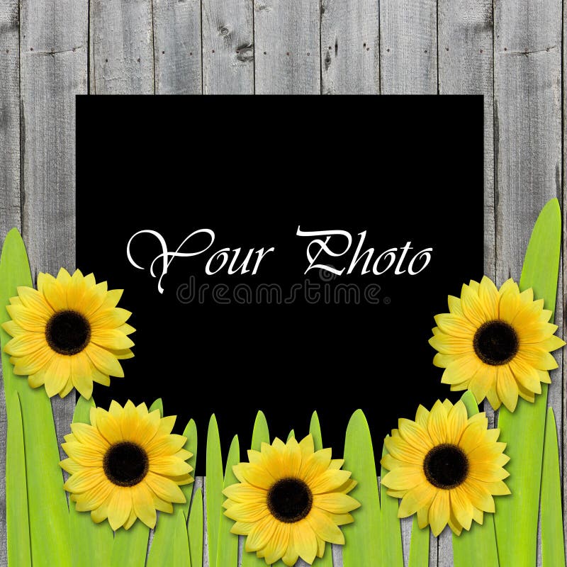 Beautiful Framework for Photo with Sunflowers Stock Photo - Image of ...