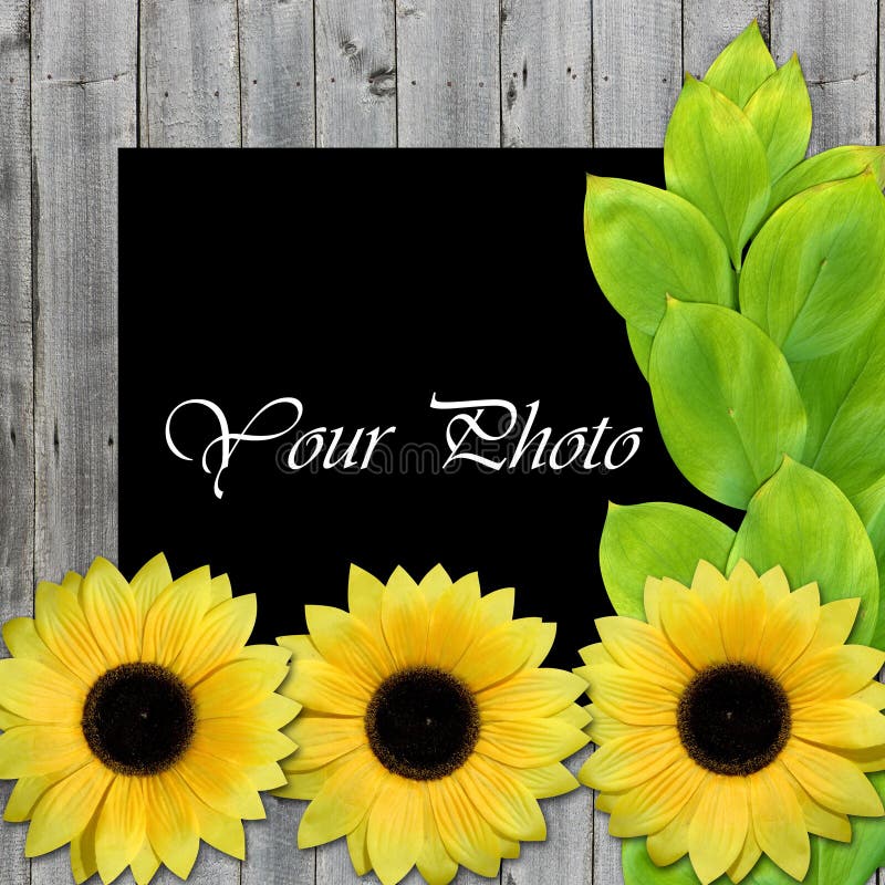 Beautiful Framework for Photo with Sunflowers Stock Image - Image of ...