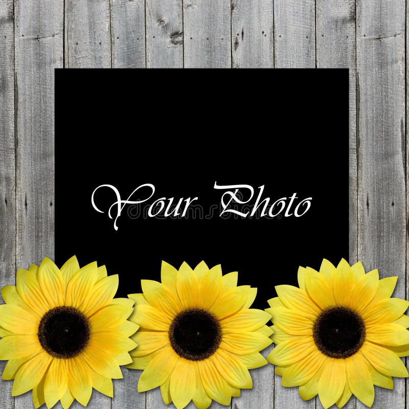 Beautiful Framework for Photo with Sunflowers Stock Image - Image of ...