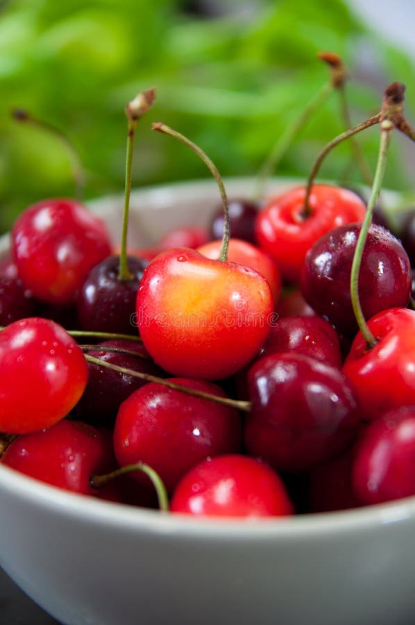 Beautiful fresh cherries stock image. Image of leaf, ripe - 32353671