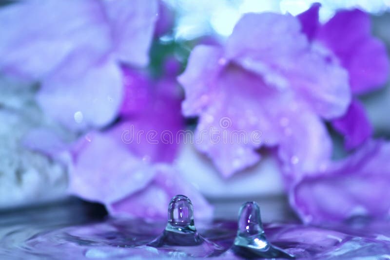 Beautiful Fresh Drop Water in Fresh Nature Stock Image - Image of ...