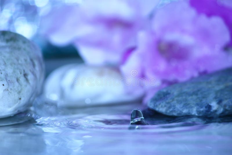 Beautiful Fresh Drop Water in Fresh Nature Stock Photo - Image of drop ...