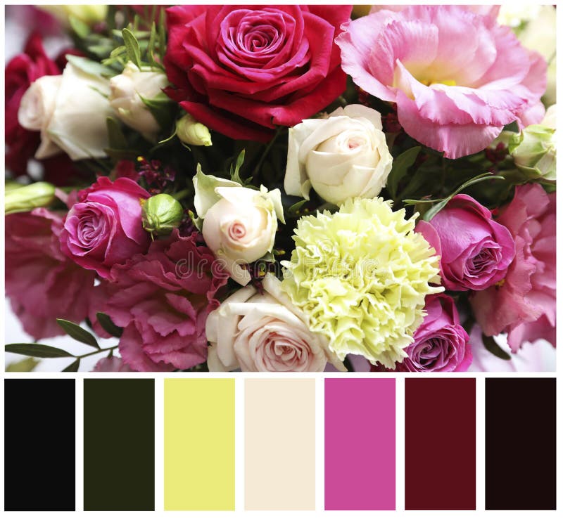 Beautiful Fresh Flowers and Color Palette. Collage Stock Photo - Image ...