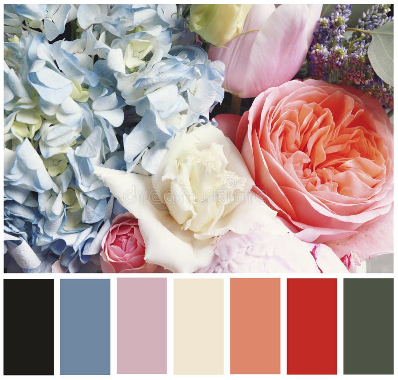 Beautiful Fresh Flowers and Color Palette. Collage Stock Photo - Image ...