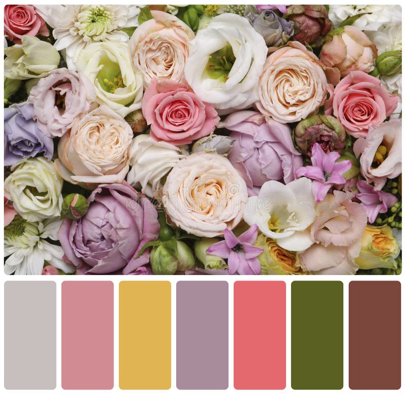 Beautiful Fresh Flowers and Color Palette. Collage Stock Photo - Image ...