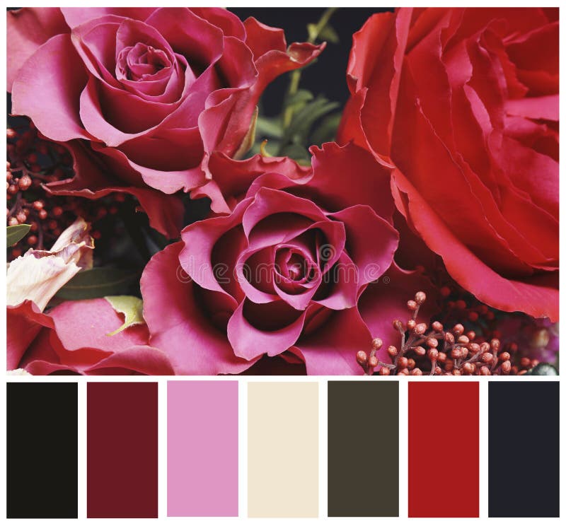 Beautiful Fresh Flowers and Color Palette. Collage Stock Image - Image ...