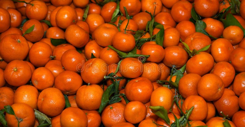 Beautiful Fresh Mandarin Fruit Stock Photo - Image of food, dessert ...