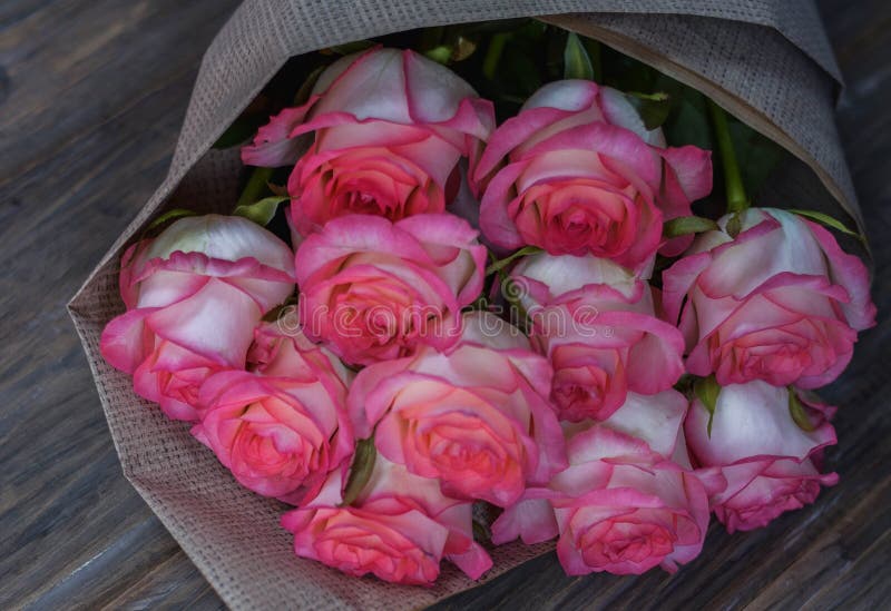 Beautiful Fresh Pink Roses. Stock Photo - Image of botany, decoration ...