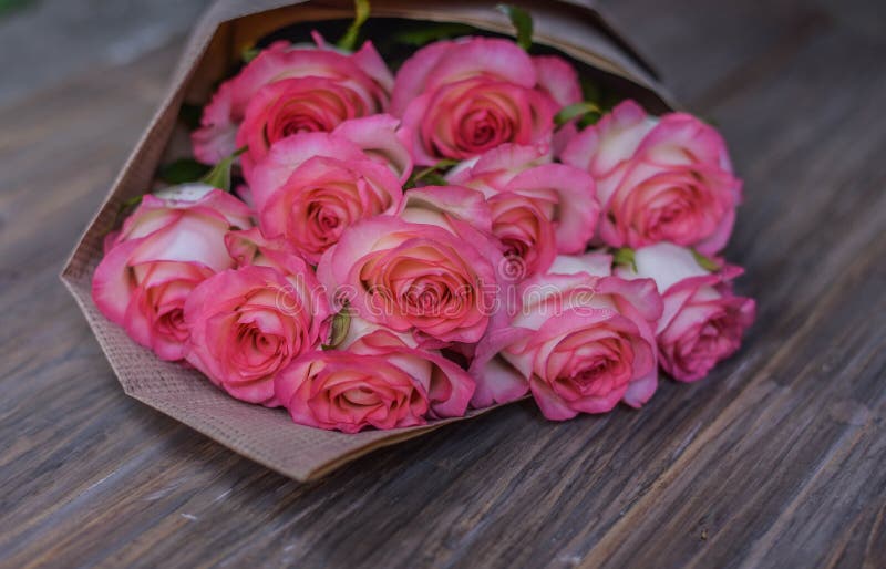 Beautiful Fresh Pink Roses. Stock Photo - Image of head, decorative ...