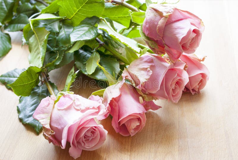 Beautiful Fresh Pink Roses. Stock Image - Image of bunch, beauty: 85372149
