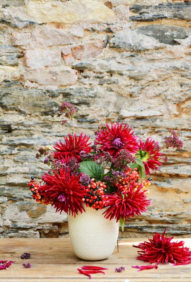 Beautiful Fresh Red Dalia Bouquet Stock Photo - Image of natural ...