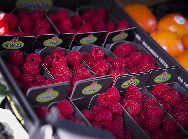 Beautiful Fresh Red Raspberry Editorial Stock Image - Image of ...