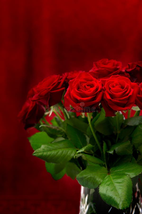 Beautiful Fresh Red Roses Bouquet Stock Photo - Image of arrangement ...