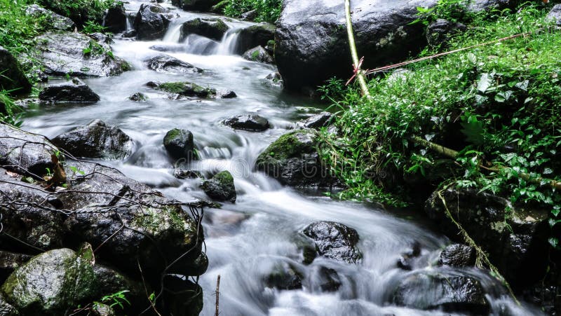 The beautiful fresh river stock image. Image of nature - 205313397