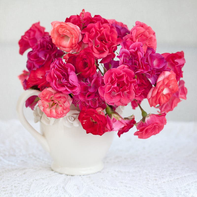 Beautiful fresh roses stock image. Image of floral, flora - 40693571