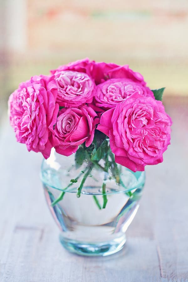 Fresh roses frame stock photo. Image of floral, copy - 18632164