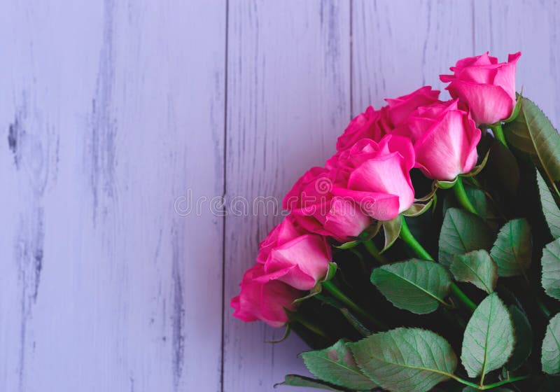 Beautiful Fresh Spring Roses on a Grey Background Stock Photo - Image ...