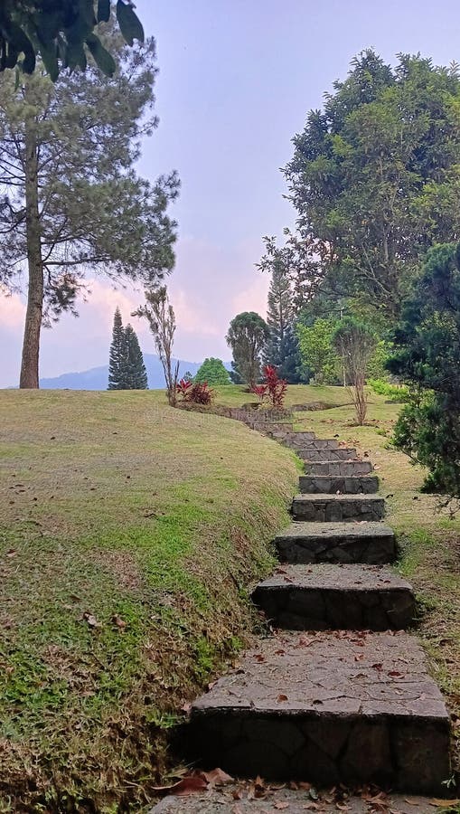 Beautiful and Fresh View of the Garden Stairs Stock Photo - Image of ...