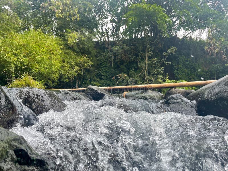 Beautiful Fresh Water River with Rocks,bamboo and Green Trees Stock ...