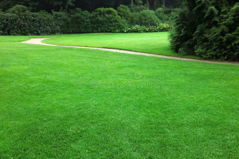 Beautiful Freshly Cut Green Lawn in Park Stock Photo - Image of foliage ...