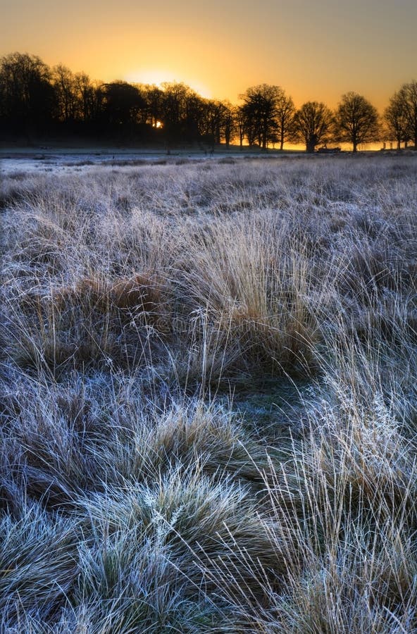 Beautiful Frozen Field Winter Landscape Stock Photo - Image of blue ...