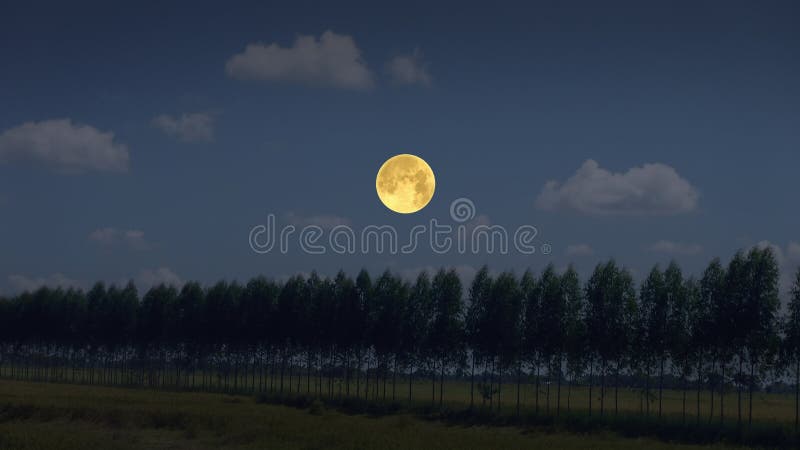Beautiful Full Moon in Blue Sky Over the Field Stock Image - Image of ...