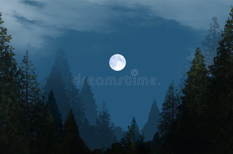Beautiful Full Moon in Blue Sky Over the Forest Stock Image - Image of ...