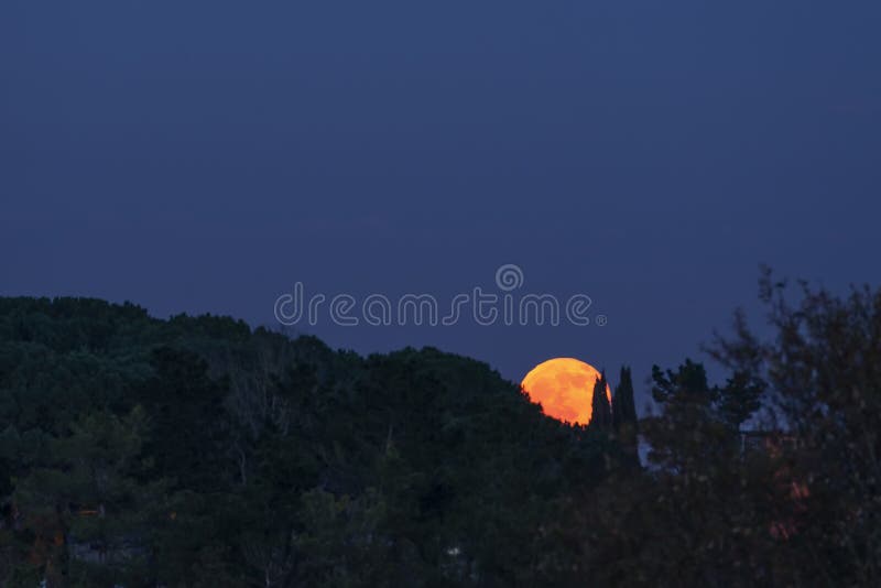 A Beautiful Full Red Moon Rises from Behind a Hill with Trees Stock ...