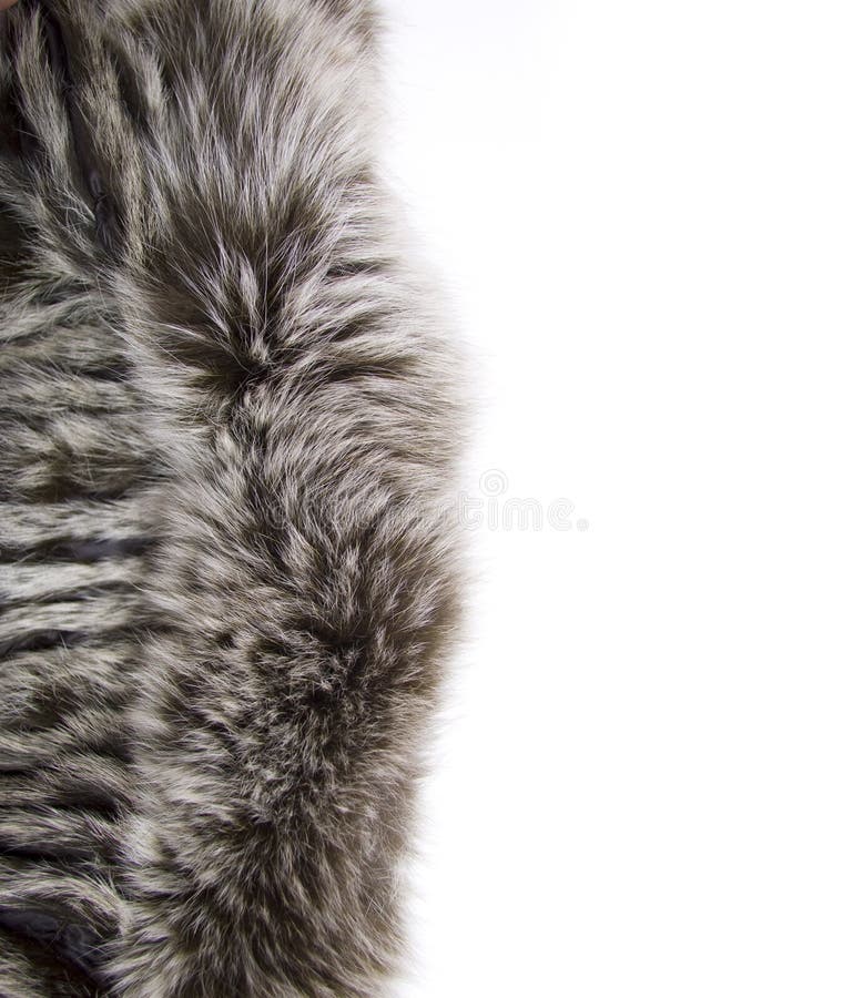 31,566 Beautiful Fur Pattern Stock Photos - Free & Royalty-Free Stock ...