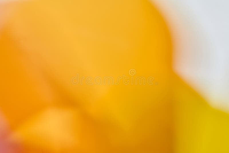 Beautiful Fusion of Bright Colors and Light Leak Stock Photo - Image of ...