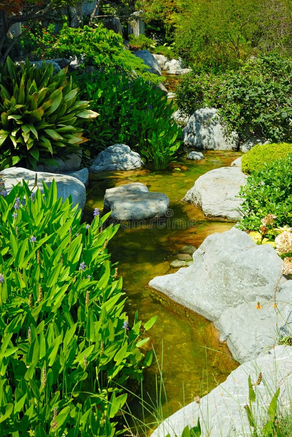 Flowers around pond stock image. Image of idyllic, colours - 5010627