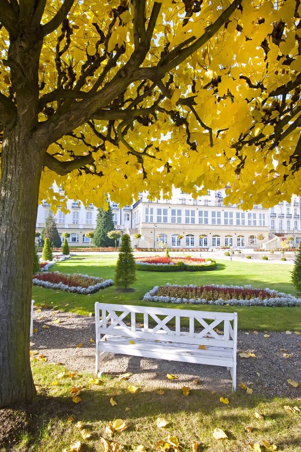 Path in garden stock photo. Image of path, color, leaves - 31360636