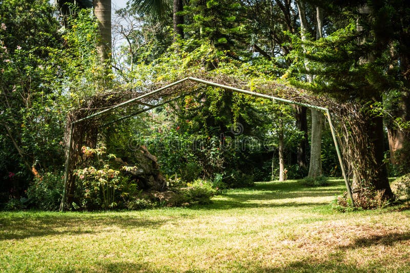 Beautiful Garden Arch Surrounded by Trees and Ornamental Plants in a ...