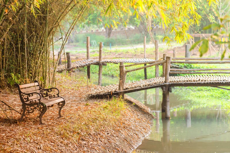 Beautiful Garden with Benches in Autumn Tree at Public Park Stock Image ...