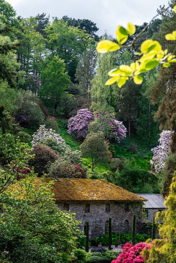 Beautiful Garden with Blooming Trees during Spring Time Stock Image ...
