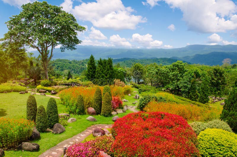 Beautiful Garden of Colorful Flowers on Hill Stock Photo - Image of ...
