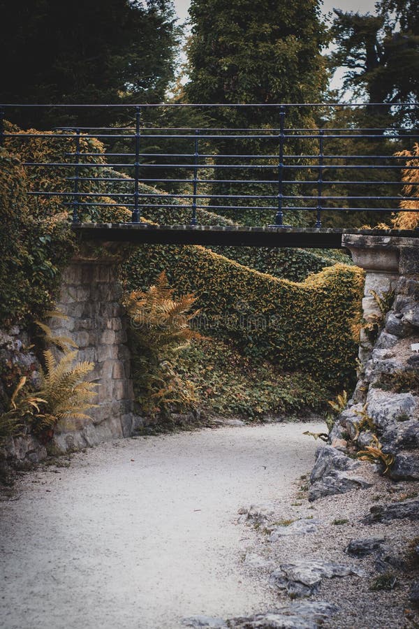 Beautiful Garden in Doncaster Stock Image - Image of architecture ...