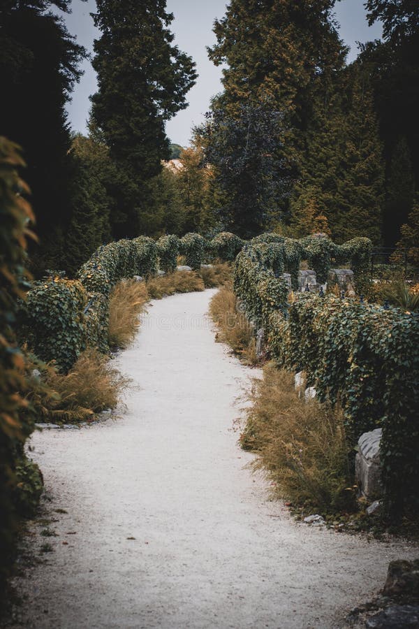 Beautiful Garden in Doncaster Stock Image - Image of natural, beautiful ...