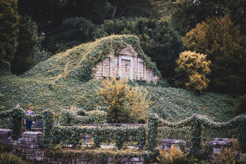 Beautiful Garden in Doncaster Stock Photo - Image of nature, flowers ...