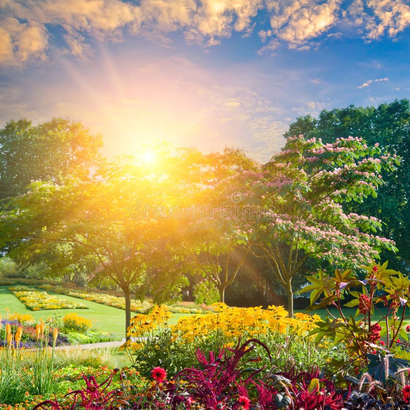 Beautiful Garden with a Flower Garden and Sun Stock Photo - Image of ...