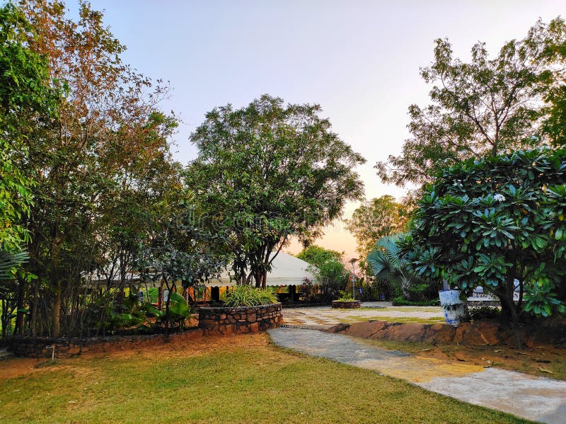 Beautiful Garden Full of Greenery. Stock Image - Image of trees ...