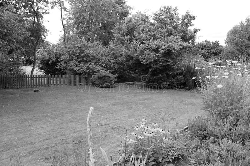 Black and White of a Beautiful Garden with Grass and a Flower Bed Stock ...