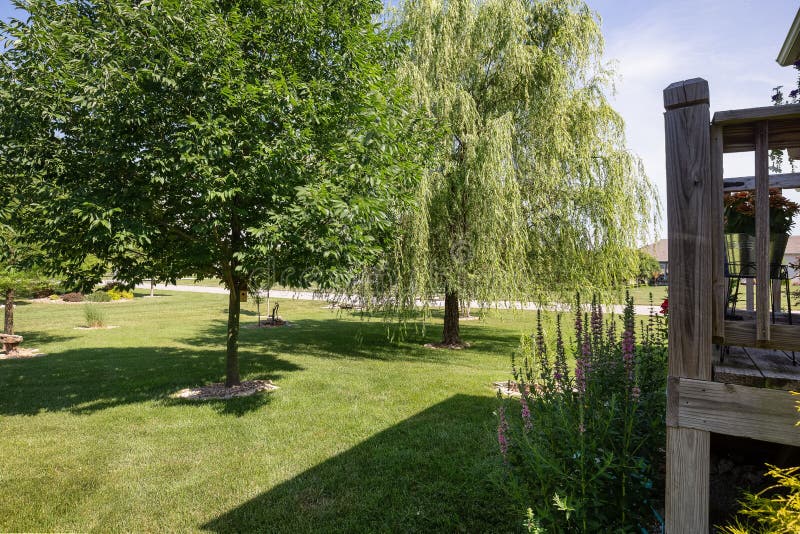 Beautiful Garden with Green Trees Under the Clear Sky Editorial Stock ...