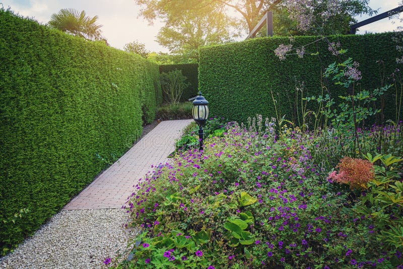 Garden Path Overgrown with Reeds on the Surface of a Decorative Pond ...