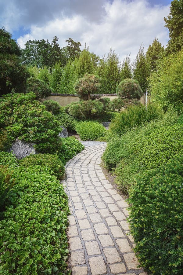 Garden Path Overgrown with Reeds on the Surface of a Decorative Pond ...