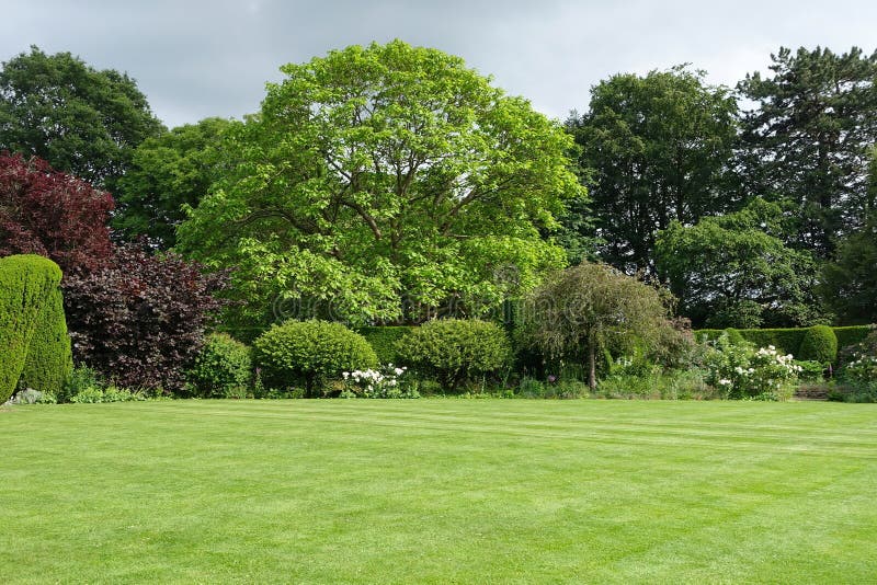 Beautiful Garden Lawn stock photo. Image of hedges, design - 240151392