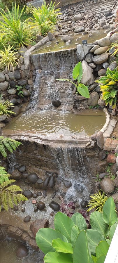 Beautiful Garden, Lots of Flowers and Waterfall Made of Stone Stock ...