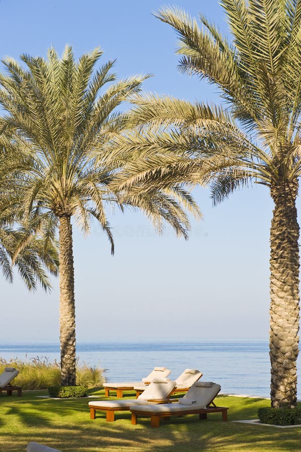 Beautiful Garden Next To the Beach Stock Image - Image of sunbed, coast ...